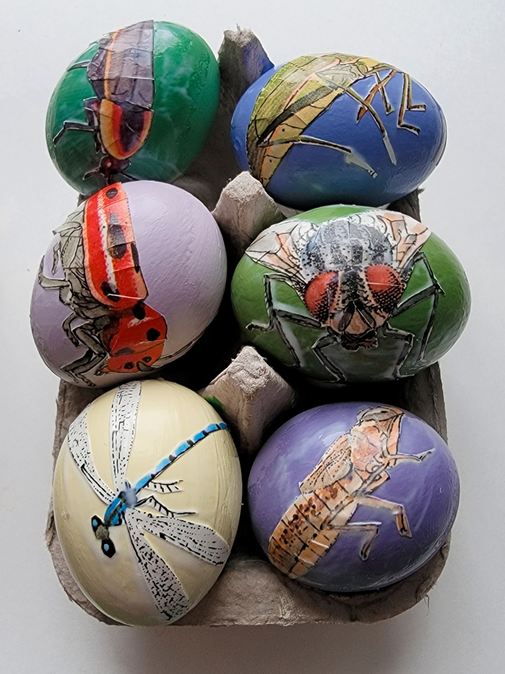 Insect Decoupage Eggs - Janes Distractions