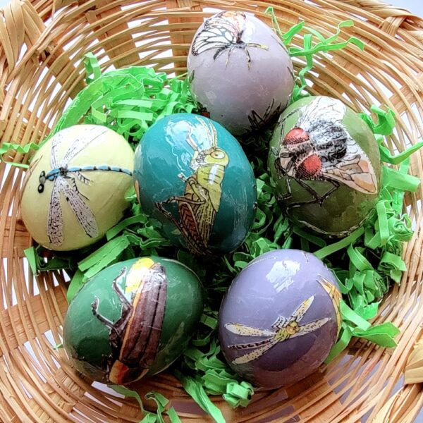 Insect Decoupage Eggs - Janes Distractions